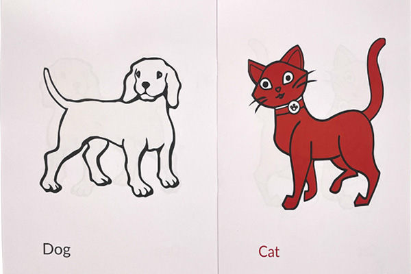 Visual Perceptual Skills Kit - lvpeyebuy.com - Eyeglasses, Frames ...