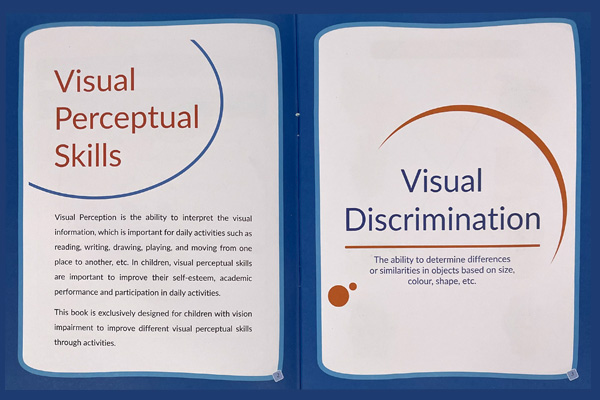 Visual Perceptual Skills Kit - lvpeyebuy.com - Eyeglasses, Frames ...