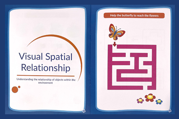 Visual Perceptual Skills Kit - lvpeyebuy.com - Eyeglasses, Frames ...